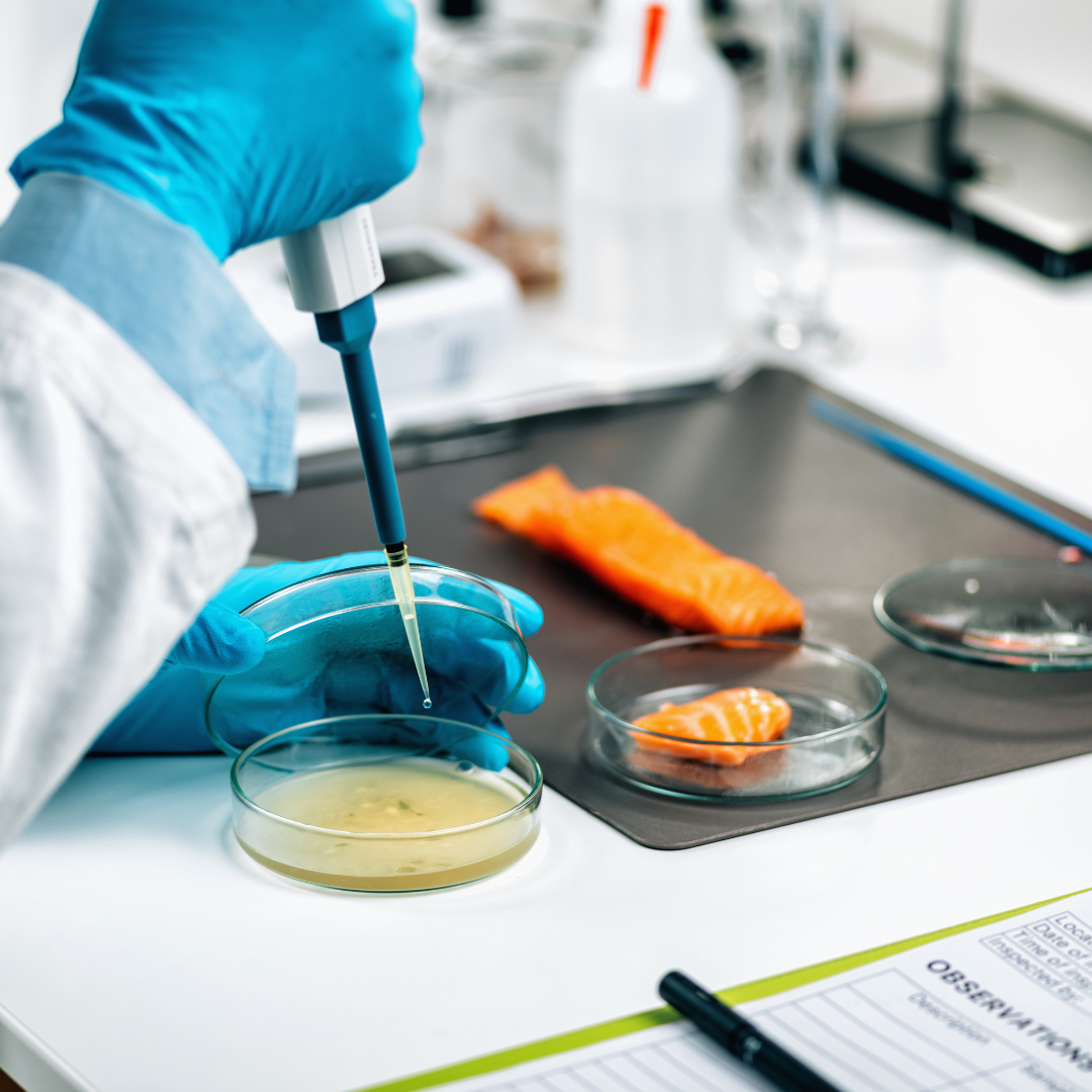 Food Laboratory Testing Services | Contract Testing Laboratories of America