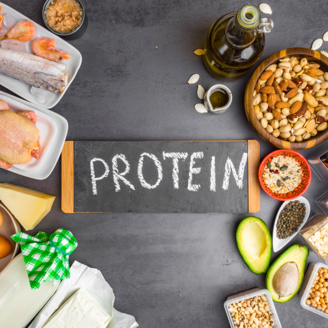 Protein Testing | Contract Testing Laboratories of America